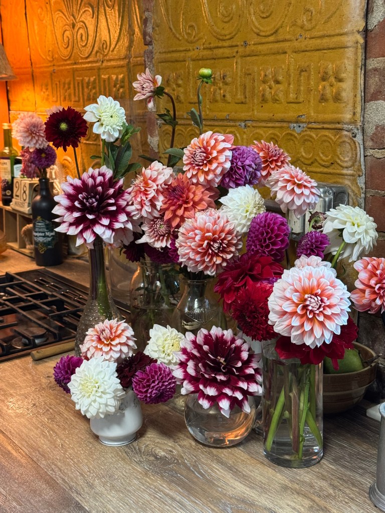 The Challenge: Three Years + Half a City Block = One Big Flower Dream ...