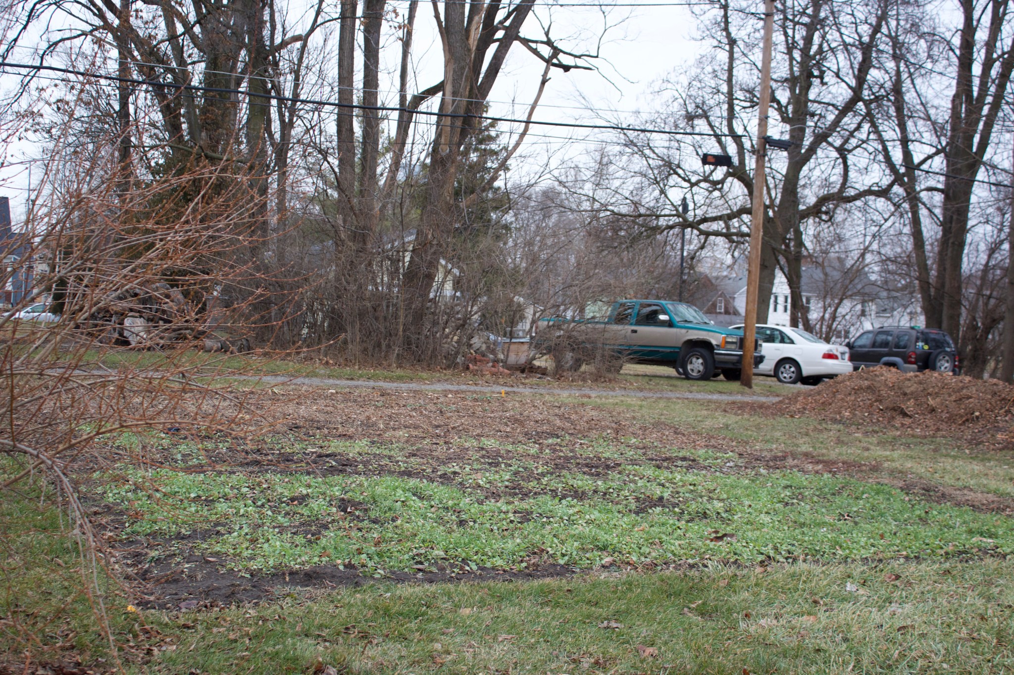 The Challenge: Three Years + Half a City Block = One Big Flower Dream ...